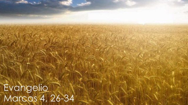 Marcos 4, 26-34 - Misioneros Digitales Católicos MDC