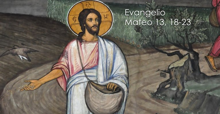 Mateo 13,18-23 - Misioneros Digitales Católicos MDC