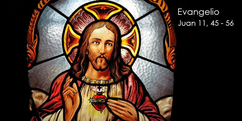 Juan 11, 45-56 - Misioneros Digitales Católicos MDC