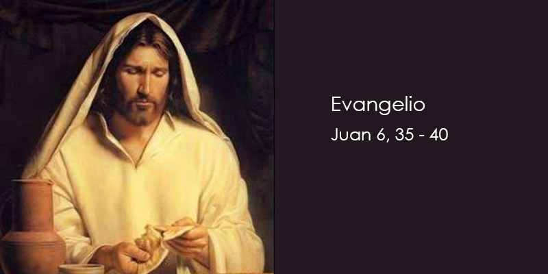 Juan 6,35-40 - Misioneros Digitales Católicos MDC