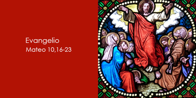 Mateo 10, 16-23 - Misioneros Digitales Católicos MDC