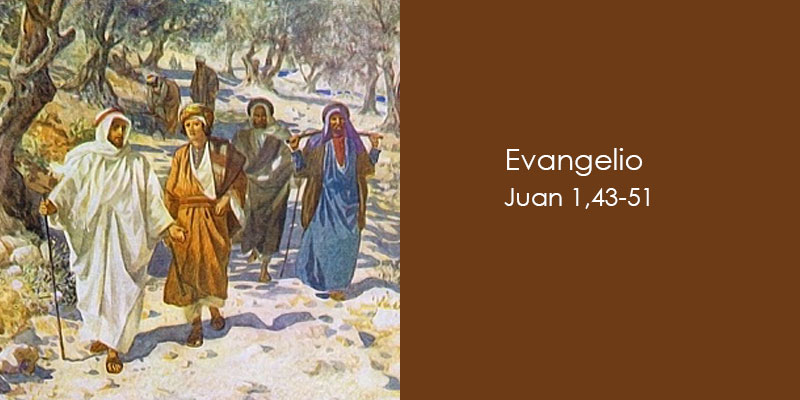 Juan 1,43-51 - Misioneros Digitales Católicos MDC