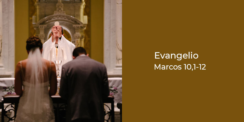 Marcos 10,1-12 - Misioneros Digitales Católicos MDC