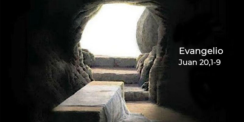 Juan 20,1-9 - Misioneros Digitales Católicos MDC