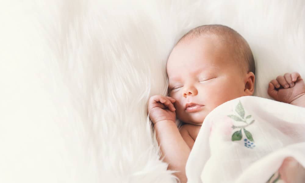 Dar la vida - Misioneros Digitales Católicos MDC