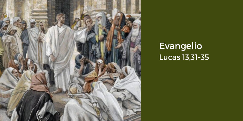 Lucas 13,31-35 - Misioneros Digitales Católicos MDC
