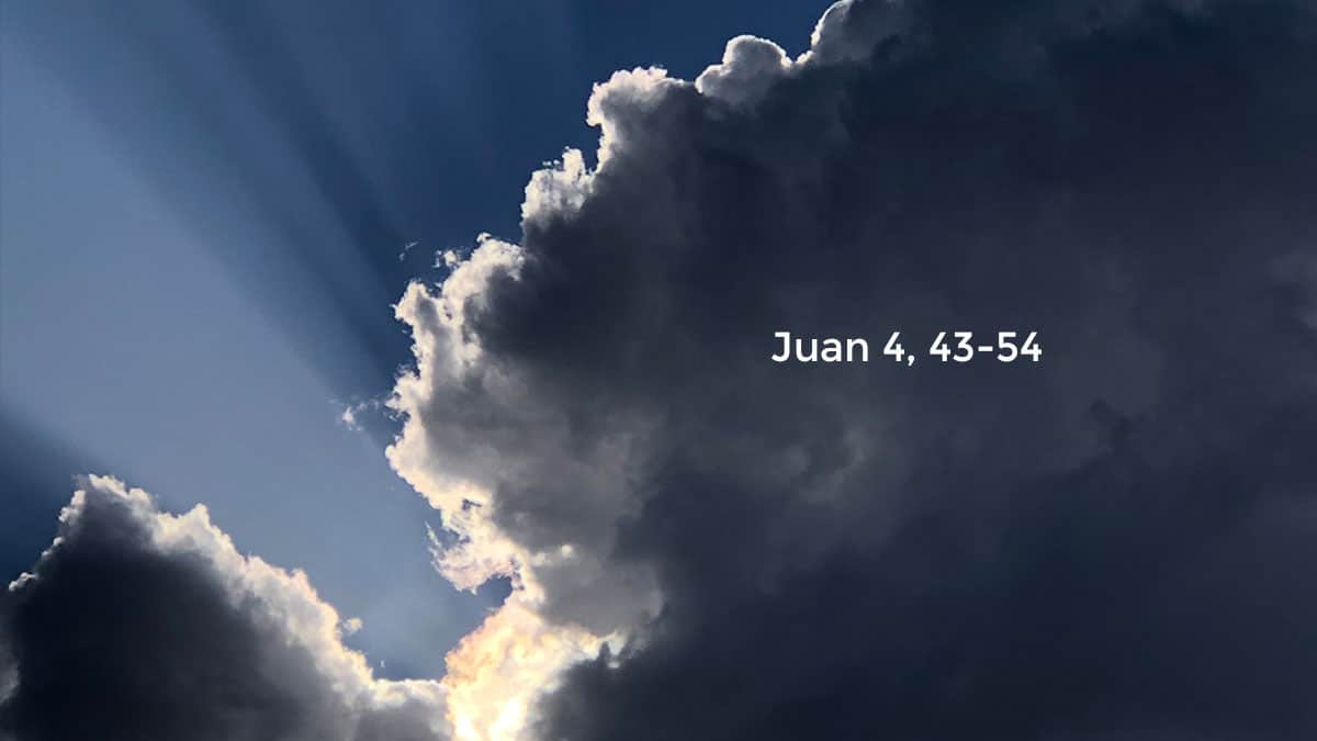 Juan 4,43-54 - Misioneros Digitales Católicos MDC