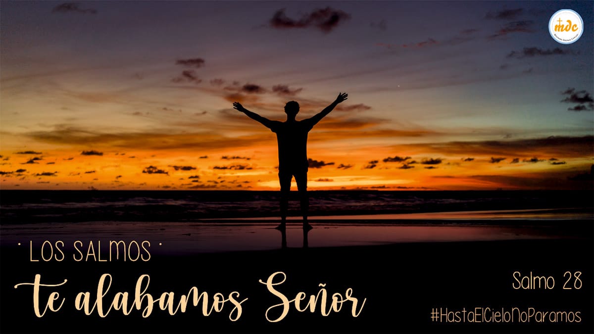 Te Alabamos Señor. Hoy: Salmo 28 - Misioneros Digitales Católicos MDC