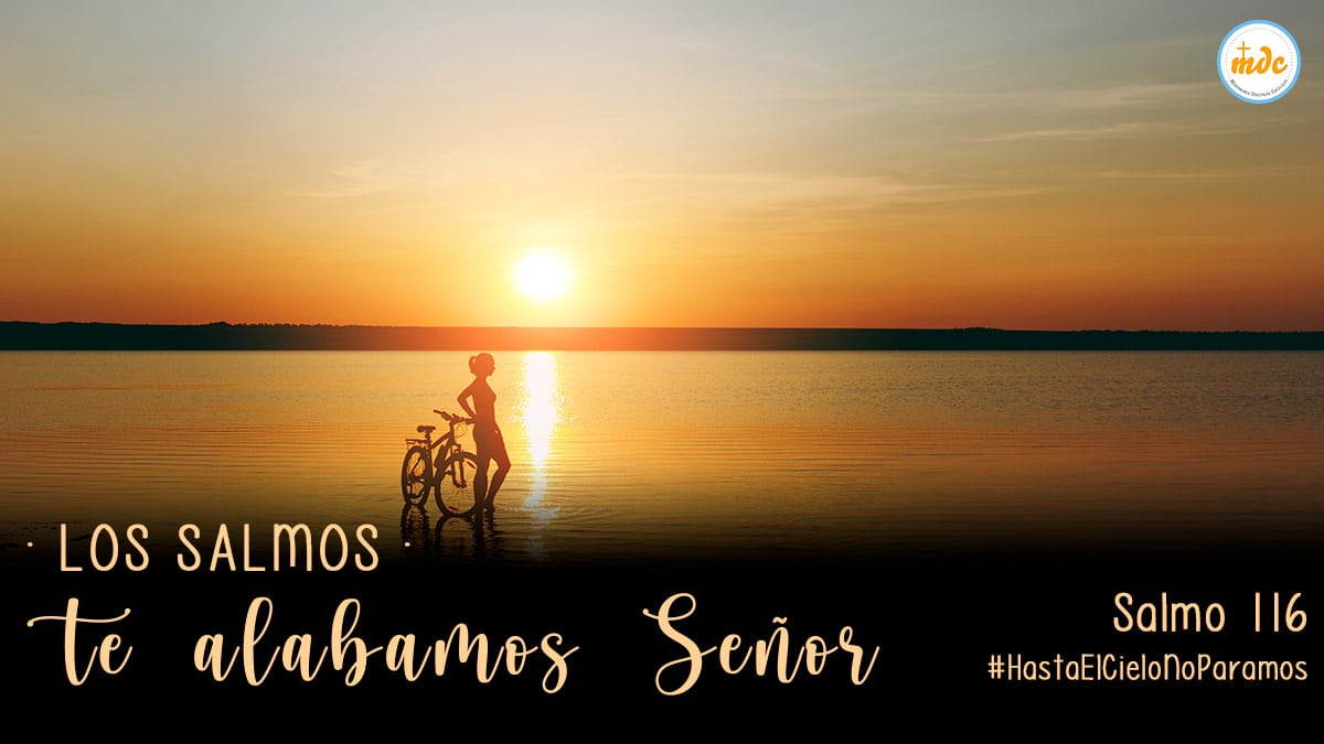 Te Alabamos Señor: Salmo 116 - Misioneros Digitales Católicos MDC