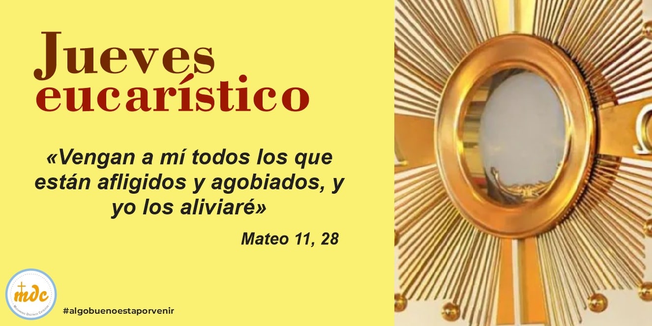 Vengan a mí todos los que están afligidos y agobiados, y yo los ...